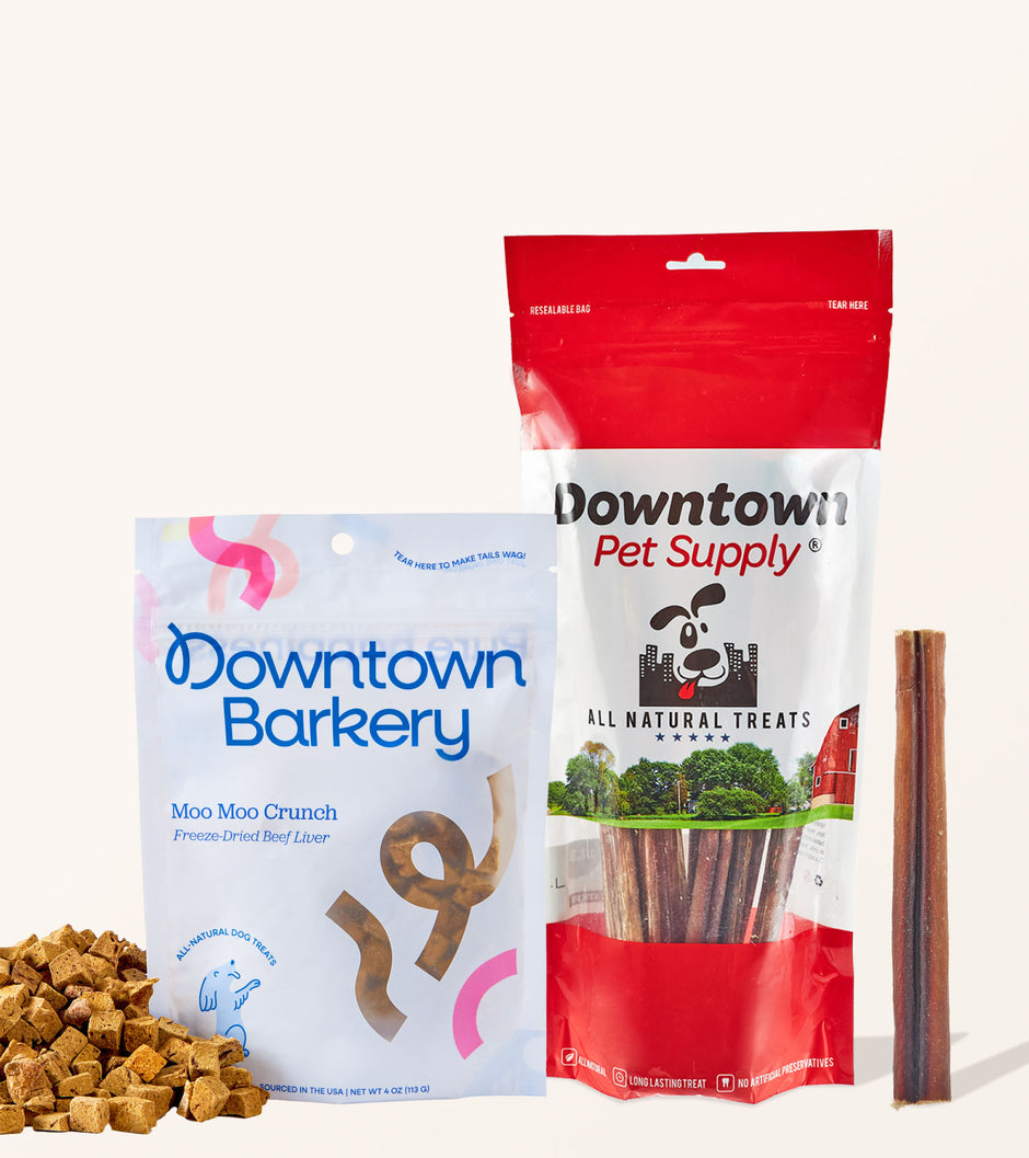 All the best for your dog — premium treats, gear, & more in one place ...