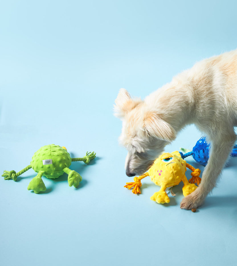 Plush Monster Chew Toys 3 Pack | Soft & Durable | Downtown Pet Supply®