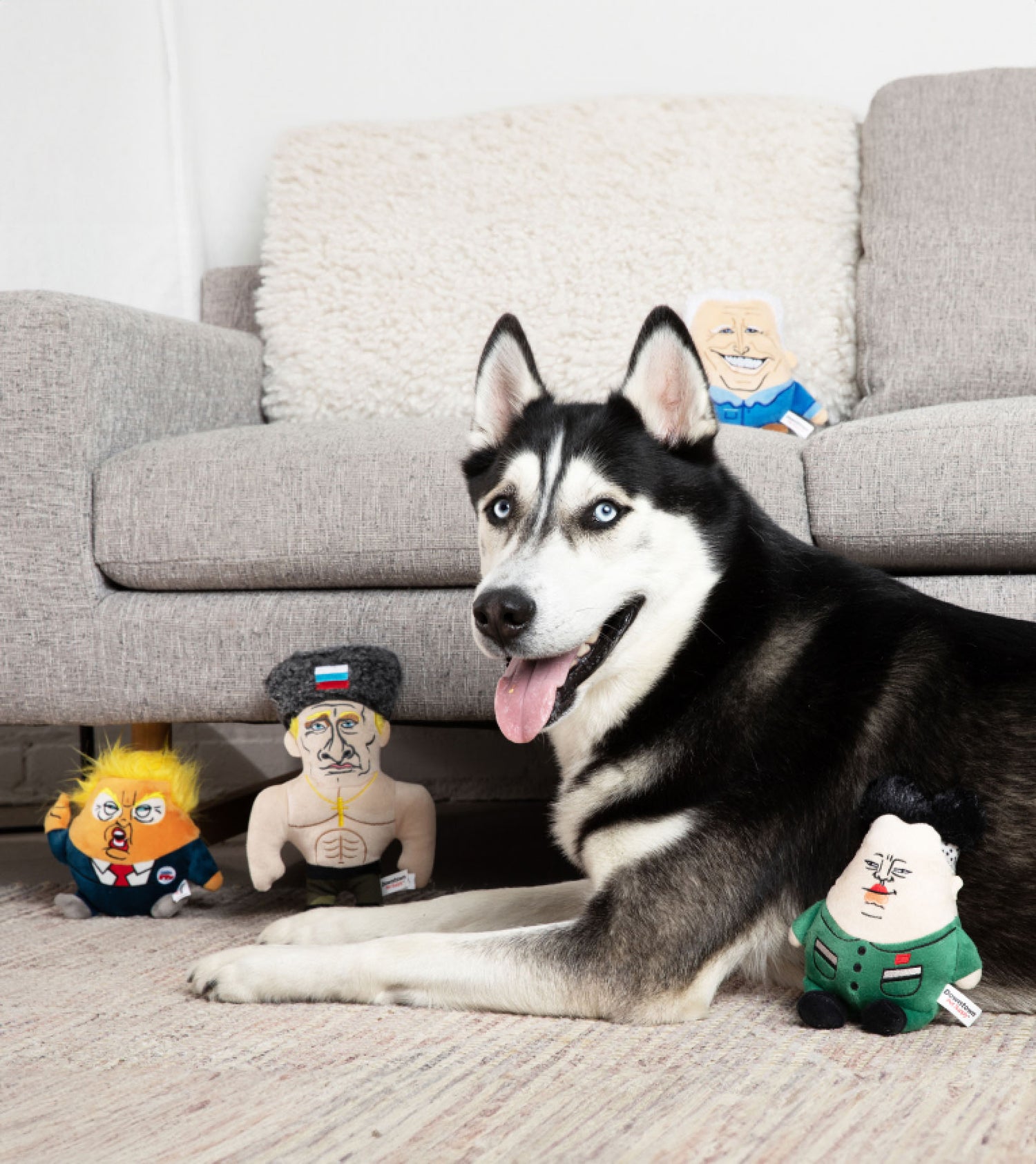 Political Dog Toys | Nonpartisan Fun | Downtown Pet Supply®