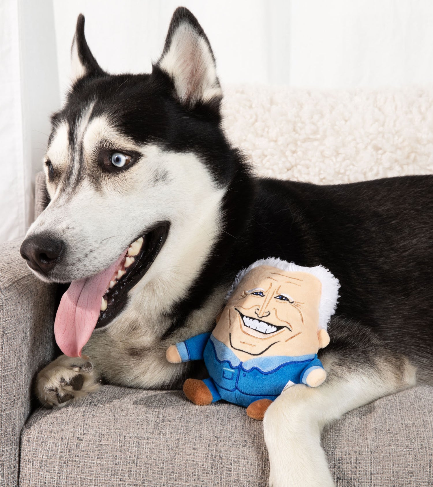 Political Dog Toys | Nonpartisan Fun | Downtown Pet Supply®