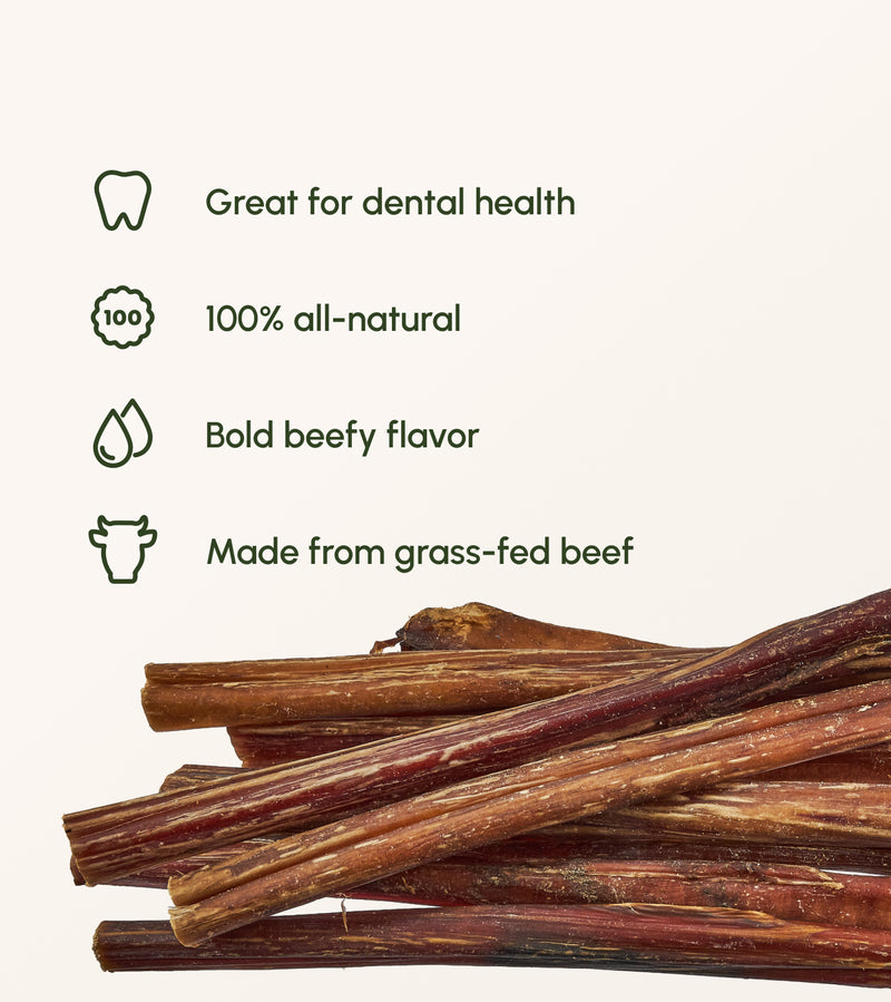 12" USA Bully Sticks | Dog Chews Made in the USA | Downtown Pet Supply®