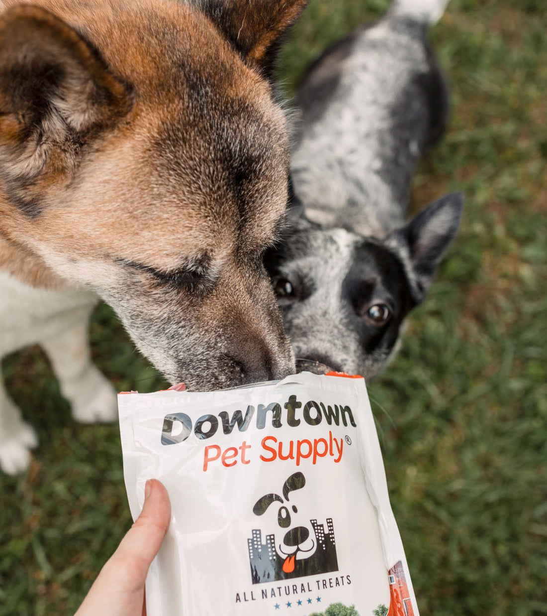 Monster Yak Chews | Extra Large Dog Chews| Downtown Pet Supply®