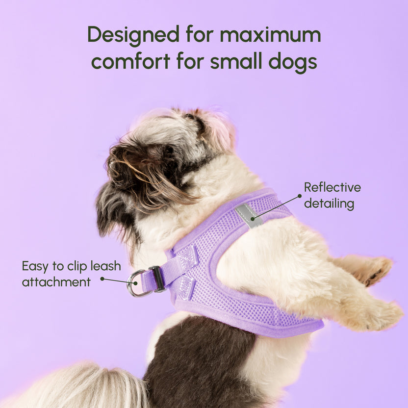 Adjustable Step-In Small Dog Harness - Pastel Colors – Downtown Pet Supply