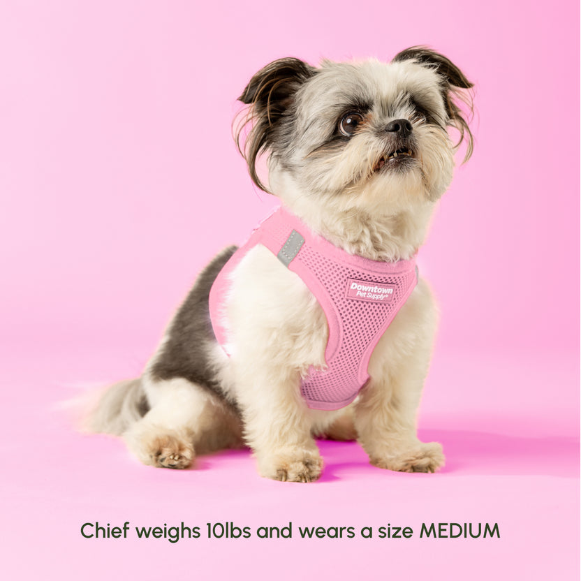 Adjustable Step-In Small Dog Harness - Pastel Colors – Downtown Pet Supply