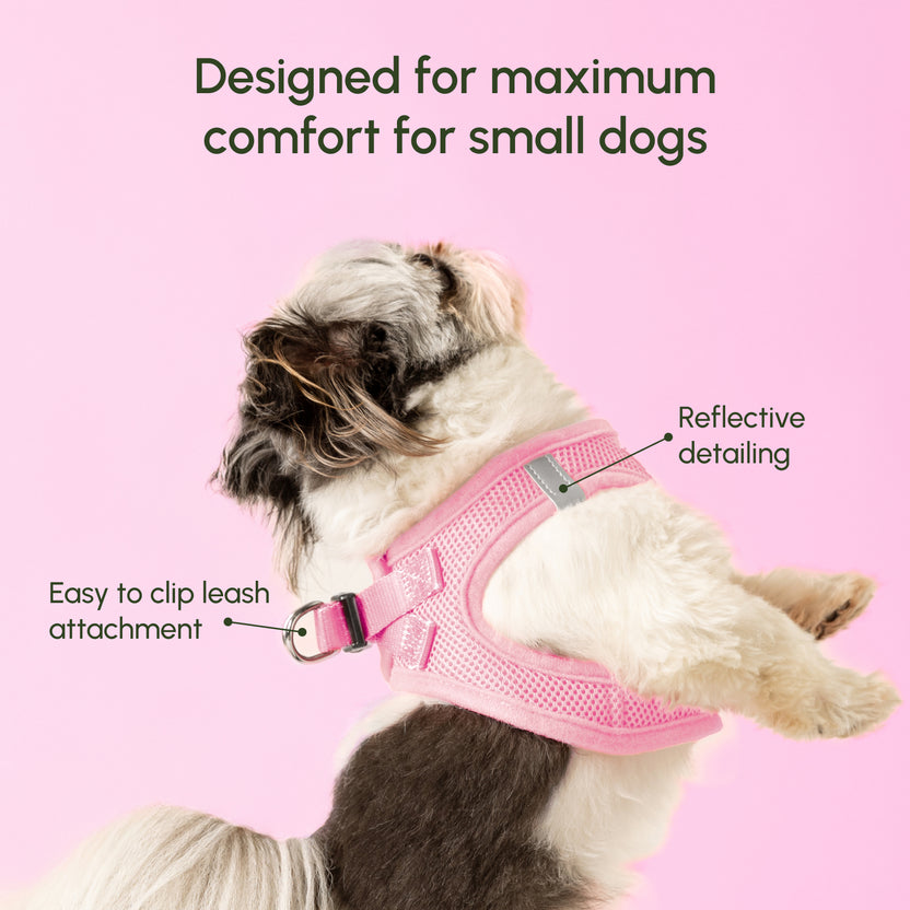 Adjustable Step-In Small Dog Harness - Pastel Colors – Downtown Pet Supply